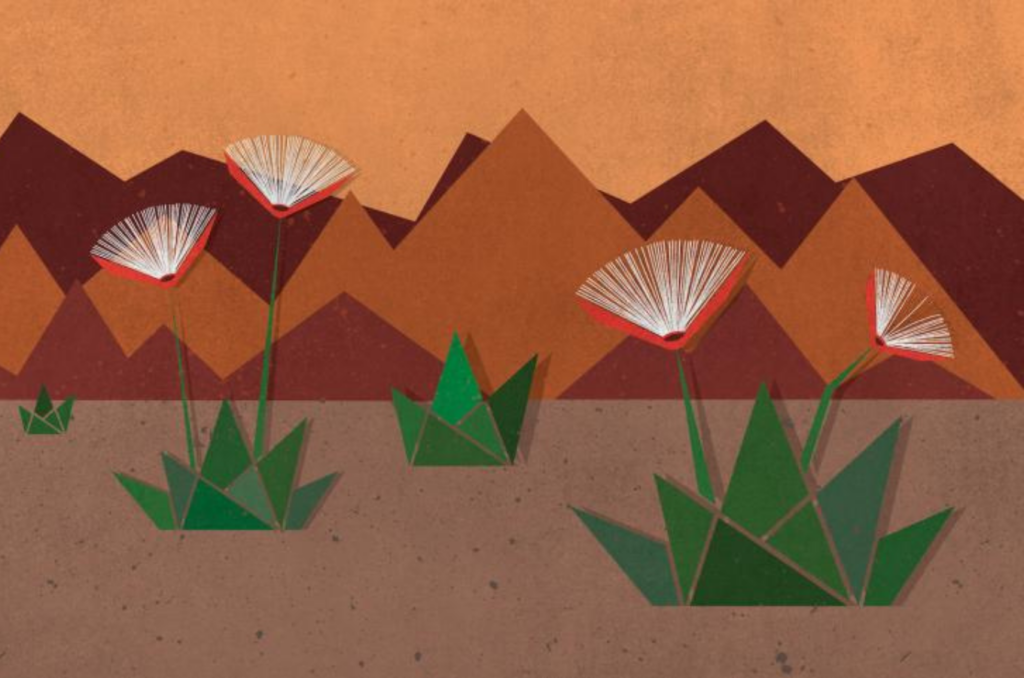 The Longlist for the 2023 Bank Windhoek Doek Literary Awards is Out!