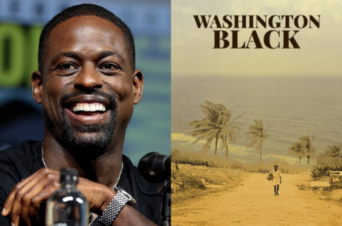 Hulu Adaptation of Ghanaian-Canadian Author Esi Edugyan’s Washington ...
