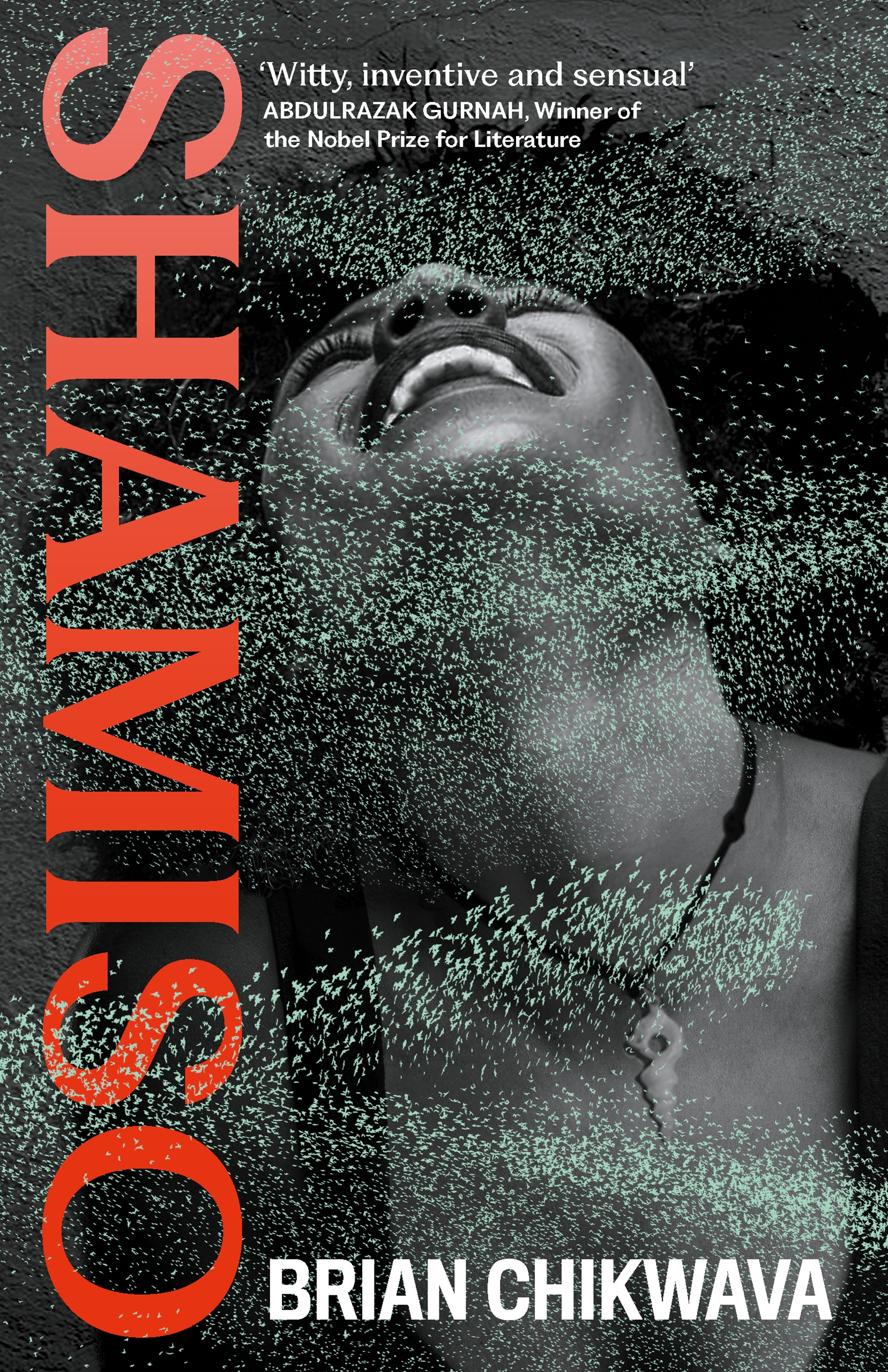 Excerpt: Shamiso by Brian Chikwava