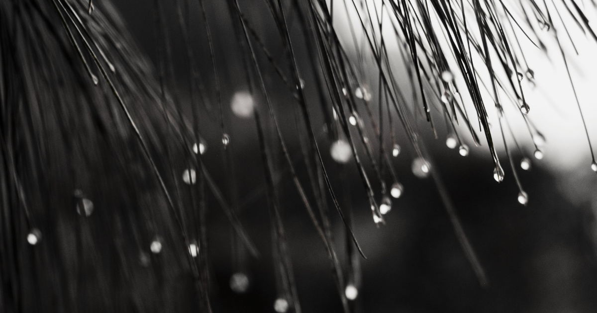 Stillborn | Salama Wainaina | Poetry