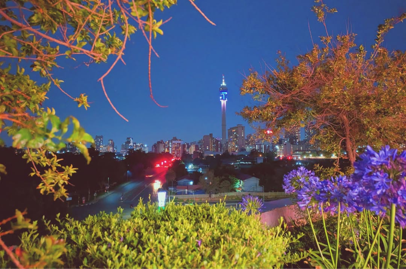 The Johannesburg Review of Books’ December Fiction Issue Explores South ...